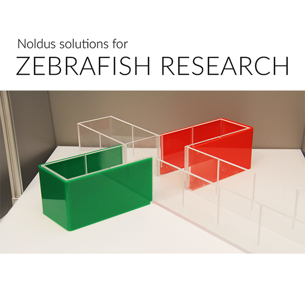 aquatic cross maze for zebrafish learning and memory testing - NBT