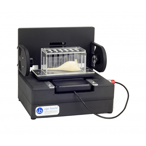 Startle/PPI Test - NBT