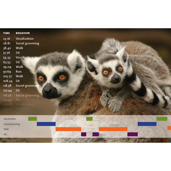 The Observer® XT for animal research - NBT