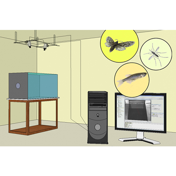 Track3D - 3D space tracking - NBT